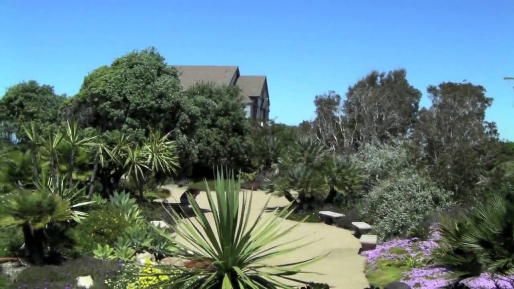 Encinitas, Kalifornien » SRF Bern